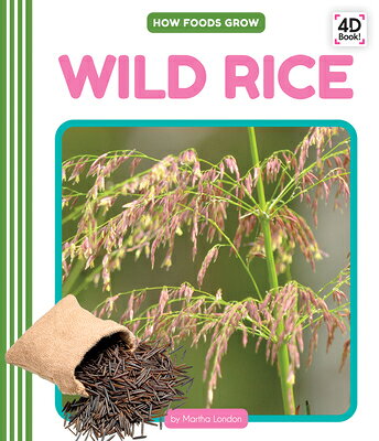 WILD RICE How Foods Grow Martha London POP2021 Library　Binding English ISBN：9781532169847 洋書 Books for kids（児童書） Juvenil...