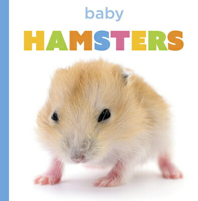 STARTING OUT BABY HAMSTERS Starting Out Laura K. Murray CREATIVE ED & PAPERBACKS2026 Paperback English ISBN：978168277986...