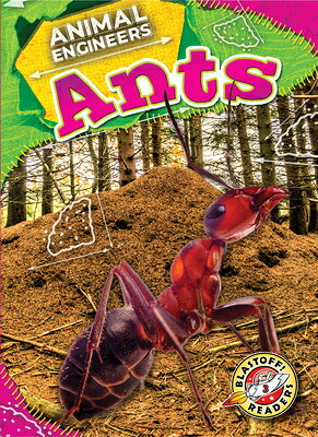 ANTS Animal Engineers Rebecca Pettiford BLASTOFF READERS2024 Library　Binding English ISBN：9798886879902 洋書 Books for kid...