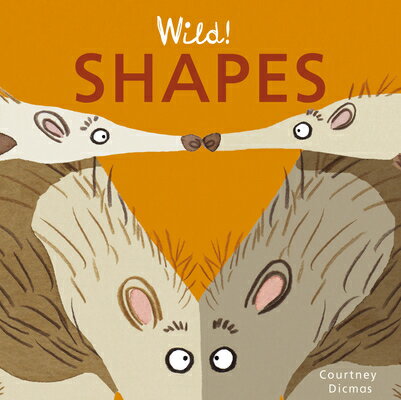 SHAPESーBOARD Wild! Concepts Courtney Dicmas Courtney Dicmas CHILDS PLAY2017 Board　Books English ISBN：9781846439940 洋書 Bo...