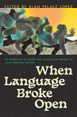 WHEN LANGUAGE BROKE OPEN Camino del Sol Alan Pelaez Lopez UNIV OF ARIZONA PR2023 Paperback English ISBN：9780816549962 洋書...