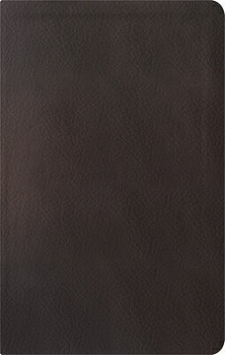 ESV REFORMATION STUDY BIBLE CO R. C. Sproul LIGONIER MINISTRIES2018 Leather English ISBN：9781567699982 洋書 NonーClassifiab...