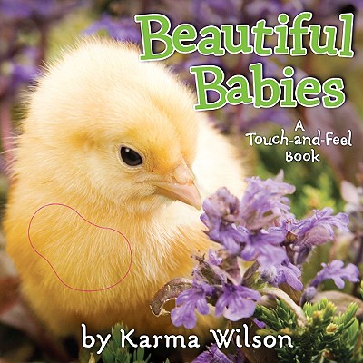 BEAUTIFUL BABIESーTOUCH FEEL Karma Wilson Karma Wilson LITTLE SIMON2009 Board　Books English ISBN：9781416919087 洋書 Books f...