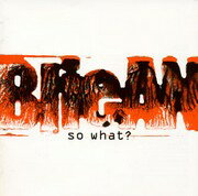 BlieANソー ホワット ブライアン 発売日：2009年02月04日 SO WHAT ? JAN：4580245400286 ZEGYー2010 Graveyard Label、Zealot Co.,Ltd. (株)ジャパンミュージックシ...