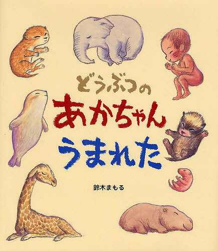 ※商品画像はイメージや仮デザインが含まれている場合があります。帯の有無など実際と異なる場合があります。著者鈴木まもる(著)出版社小峰書店発売日2008年09月ISBN9784338180283ページ数〔32P〕キーワードえほん 絵本 プレゼ...