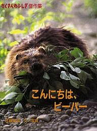 ※商品画像はイメージや仮デザインが含まれている場合があります。帯の有無など実際と異なる場合があります。著者佐藤英治(著)出版社福音館書店発売日2007年01月ISBN9784834022346ページ数40Pキーワードプレゼント ギフト 誕生...