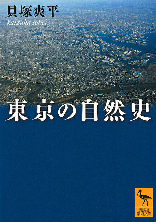 著者貝塚爽平(著)出版社講談社発売日2011年11月ISBN9784062920827ページ数327Pキーワードとうきようのしぜんしとうきようのしぜんしこうだんし トウキヨウノシゼンシトウキヨウノシゼンシコウダンシ かいずか そうへい カイ...