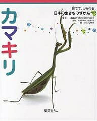 ※商品画像はイメージや仮デザインが含まれている場合があります。帯の有無など実際と異なる場合があります。著者若田部美行(写真) 安東浩(写真) CheungME(画)出版社集英社発売日2007年02月ISBN9784082200138ページ数...