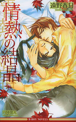 著者遠野春日(著)出版社リブレ出版発売日2012年11月ISBN9784799712184ページ数253PキーワードじようねつのけつしようびーぼーいのべるずBーBOY ジヨウネツノケツシヨウビーボーイノベルズBーBOY とおの はるひ トオ...