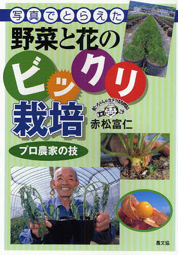 著者赤松富仁(著)出版社農山漁村文化協会発売日2008年03月ISBN9784540072949ページ数175Pキーワードしやしんでとらえたやさいとはなの シヤシンデトラエタヤサイトハナノ あかまつ とみひと アカマツ トミヒト978454...