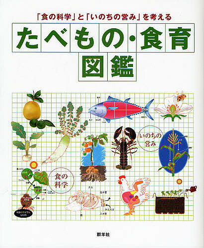 著者食生活プランニング(編)出版社群羊社発売日2009年11月ISBN9784906182701ページ数199Pキーワードたべものしよくいくずかんしよくのかがくと タベモノシヨクイクズカンシヨクノカガクト しよくせいかつ／ぷらんにんぐ シヨ...