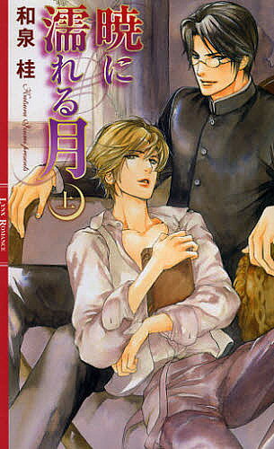 著者和泉桂(著)出版社幻冬舎コミックス発売日2012年11月ISBN9784344826779ページ数273Pキーワードあかつきにぬれるつき1りんくすろまんす アカツキニヌレルツキ1リンクスロマンス いずみ かつら イズミ カツラ BF14...