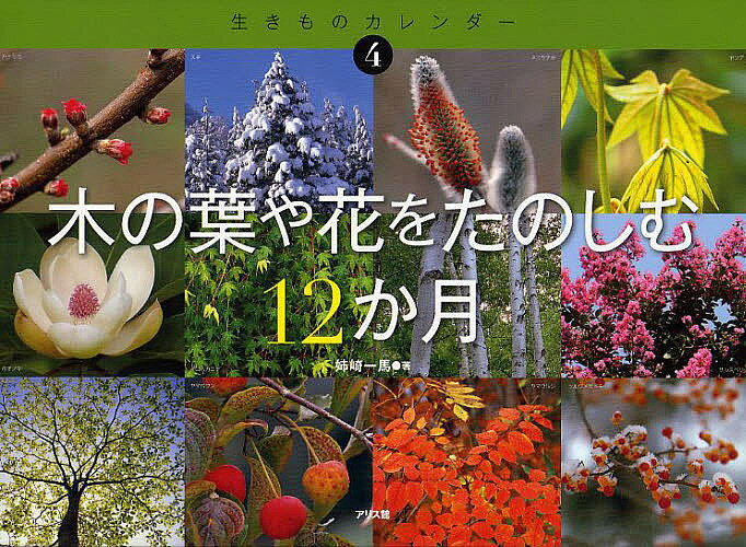 著者姉崎一馬(著) すがわらけいこ(絵)出版社アリス館発売日2011年11月ISBN9784752005674ページ数56Pキーワードプレゼント ギフト 誕生日 子供 クリスマス 子ども こども このはやはなおたのしむじゆうにかげついきもの...