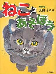 著者太田さゆり(著)出版社大日本図書発売日2001年12月ISBN9784477014586ページ数35Pキーワードプレゼント ギフト 誕生日 子供 クリスマス 子ども こども ねことあそぼうかがくだいすき ネコトアソボウカガクダイスキ お...