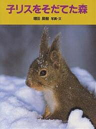 著者増田戻樹(著)出版社あかね書房発売日2000年10月ISBN9784251009272ページ数1冊キーワードプレゼント ギフト 誕生日 子供 クリスマス 子ども こども こりすおそだてたもりあかねしんえほん コリスオソダテタモリアカネシ...