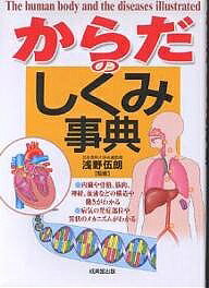 ※商品画像はイメージや仮デザインが含まれている場合があります。帯の有無など実際と異なる場合があります。出版社成美堂出版発売日2002年12月ISBN9784415019031ページ数303Pキーワードからだのしくみじてん カラダノシクミジテ...