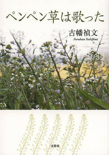 著者古幡禎文(著)出版社文芸社発売日2013年12月ISBN9784286143774ページ数117Pキーワードぺんぺんぐさわうたつたみずうみとちようるりいろ ペンペングサワウタツタミズウミトチヨウルリイロ ふるはた よしふみ フルハタ ヨ...