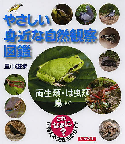 著者里中遊歩(著)出版社いかだ社発売日2014年04月ISBN9784870514232ページ数95Pキーワードやさしいみじかなしぜんかんさつずかんりようせいるい ヤサシイミジカナシゼンカンサツズカンリヨウセイルイ さとなか ゆうほ サトナ...