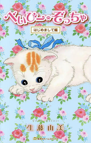 著者生藤由美(著)出版社ホーム社発売日2014年05月ISBN9784834232134ページ数188Pキーワードべいびーぞつちやはじめましてへんしゆうえいしやほー ベイビーゾツチヤハジメマシテヘンシユウエイシヤホー いけふじ ゆみ イケフ...