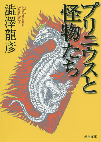 ※商品画像はイメージや仮デザインが含まれている場合があります。帯の有無など実際と異なる場合があります。著者澁澤龍彦(著)出版社河出書房新社発売日2014年08月ISBN9784309413112ページ数198Pキーワードぷりにうすとかいぶつ...