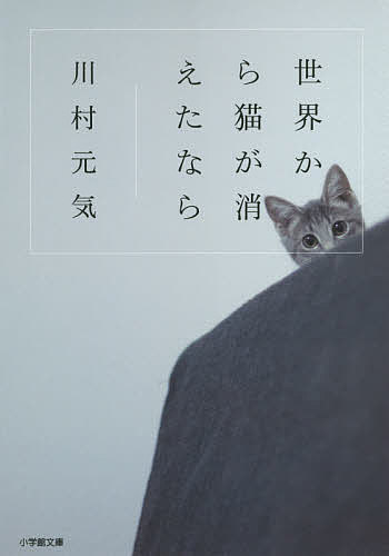 著者川村元気(著)出版社小学館発売日2014年09月ISBN9784094060867ページ数229Pキーワードせかいからねこがきえたならしようがくかん セカイカラネコガキエタナラシヨウガクカン かわむら げんき カワムラ ゲンキ97840...