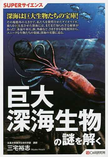 著者三宅裕志(著)出版社シーアンドアール研究所発売日2014年10月ISBN9784863541542ページ数215Pキーワードきよだいしんかいせいぶつのなぞおとく キヨダイシンカイセイブツノナゾオトク みやけ ひろし ミヤケ ヒロシ978...