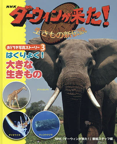 著者NHK「ダーウィンが来た！」番組スタッフ(編)出版社ポプラ社発売日2015年04月ISBN9784591143254ページ数47Pキーワードプレゼント ギフト 誕生日 子供 クリスマス 子ども こども えぬえいちけーだーういんがきたいき...