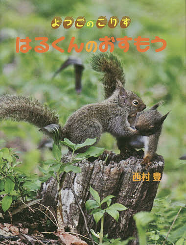著者西村豊(著)出版社アリス館発売日2015年04月ISBN9784752007067ページ数38Pキーワードえほん 絵本 プレゼント ギフト 誕生日 子供 クリスマス 子ども こども はるくんのおすもうよつごのこりす ハルクンノオスモウヨ...