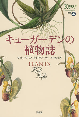 著者キャシィ・ウイリス(著) キャロリン・フライ(著) 川口健夫(訳)出版社原書房発売日2015年06月ISBN9784562051670キーワードきゆーがーでんのしよくぶつし キユーガーデンノシヨクブツシ ういりす K．J． WILLI ...