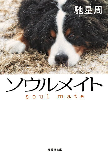 著者馳星周(著)出版社集英社発売日2015年09月ISBN9784087453607ページ数344Pキーワードそうるめいとしゆうえいしやぶんこはー31ー6 ソウルメイトシユウエイシヤブンコハー31ー6 はせ せいしゆう ハセ セイシユウ97...