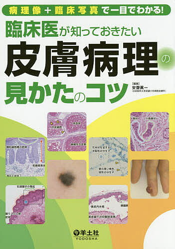 著者安齋眞一(編集)出版社羊土社発売日2016年06月ISBN9784758117937ページ数293Pキーワードりんしよういがしつておきたいひふびようりの リンシヨウイガシツテオキタイヒフビヨウリノ あんさい しんいち アンサイ シンイチ...
