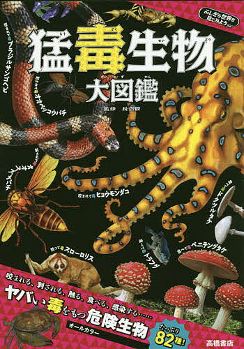 著者長沼毅(監修) 森野達弥(マンガ)出版社高橋書店発売日2016年06月ISBN9784471103620ページ数190Pキーワードもうどくせいぶつだいずかんふしぎなせかいお モウドクセイブツダイズカンフシギナセカイオ ながぬま たけし ...