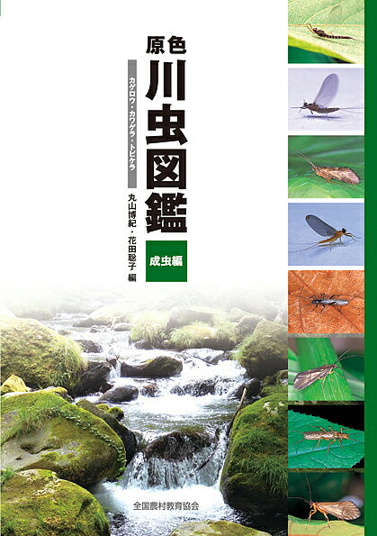 出版社全国農村教育協会発売日2016年11月ISBN9784881371848ページ数482Pキーワードげんしよくかわむしずかんせいちゆうへんかげろうかわ ゲンシヨクカワムシズカンセイチユウヘンカゲロウカワ まるやま ひろき はなだ さと ...