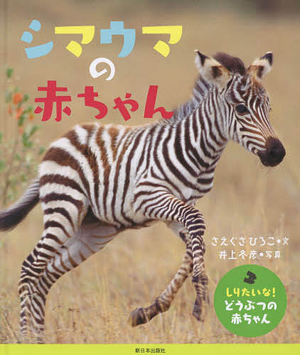 著者さえぐさひろこ(文) 井上冬彦(写真)出版社新日本出版社発売日2016年11月ISBN9784406060738ページ数31Pキーワードえほん 絵本 プレゼント ギフト 誕生日 子供 クリスマス 子ども こども しまうまのあかちやんしり...