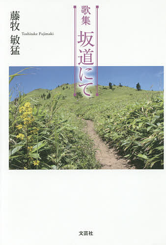 著者藤牧敏猛(著)出版社文芸社発売日2017年02月ISBN9784286179391ページ数111Pキーワードさかみちにてかしゆう サカミチニテカシユウ ふじまき としたけ フジマキ トシタケ9784286179391