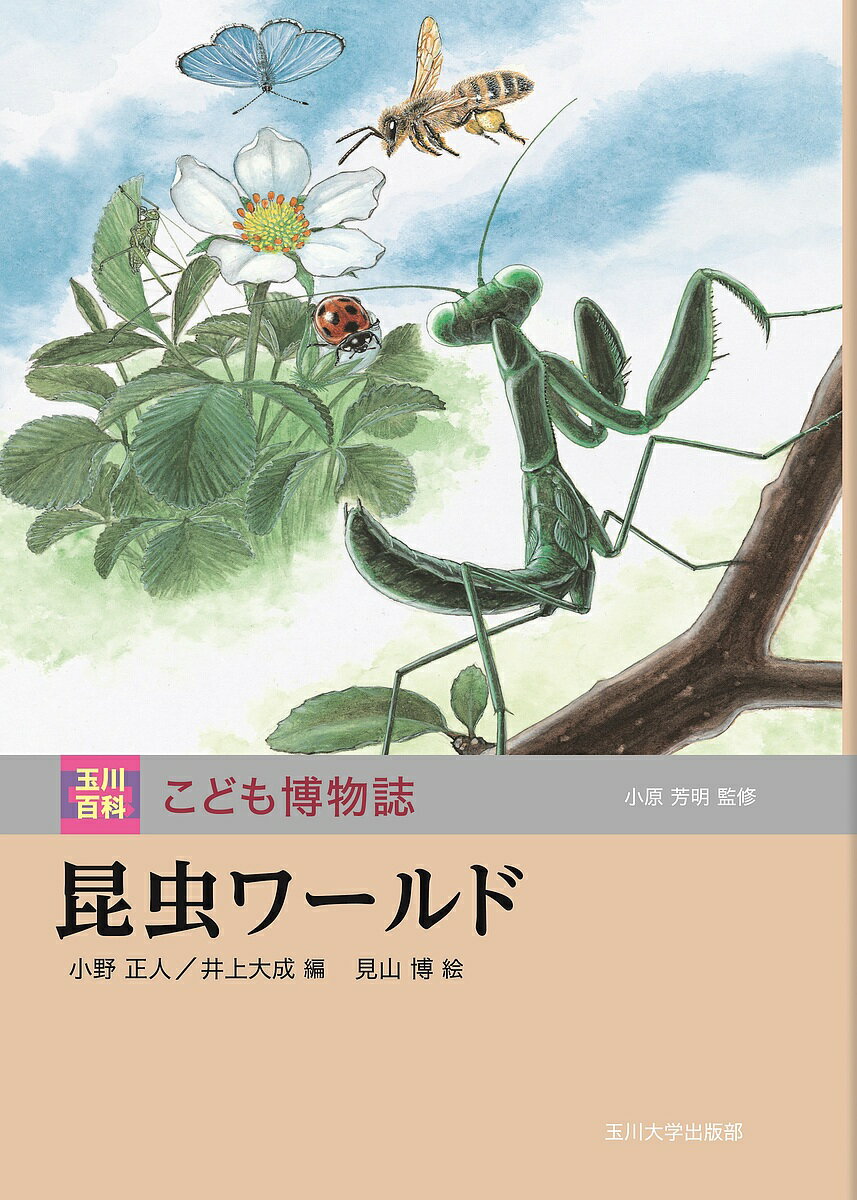 著者小野正人(編) 井上大成(編) 見山博(絵)出版社玉川大学出版部発売日2017年05月ISBN9784472059742ページ数157Pキーワードプレゼント ギフト 誕生日 子供 クリスマス 子ども こども こんちゆうわーるどたまがわひ...