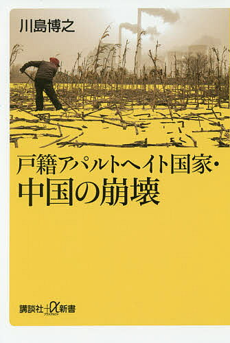 ※商品画像はイメージや仮デザインが含まれている場合があります。帯の有無など実際と異なる場合があります。著者川島博之(著)出版社講談社発売日2017年10月ISBN9784062915069ページ数222Pキーワードこせきあぱるとへいとこつか...