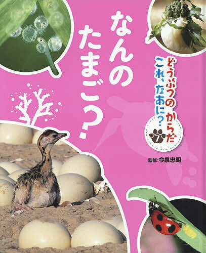 ※商品画像はイメージや仮デザインが含まれている場合があります。帯の有無など実際と異なる場合があります。著者今泉忠明(監修)出版社ポプラ社発売日2017年04月ISBN9784591153499ページ数47Pキーワードプレゼント ギフト 誕生...