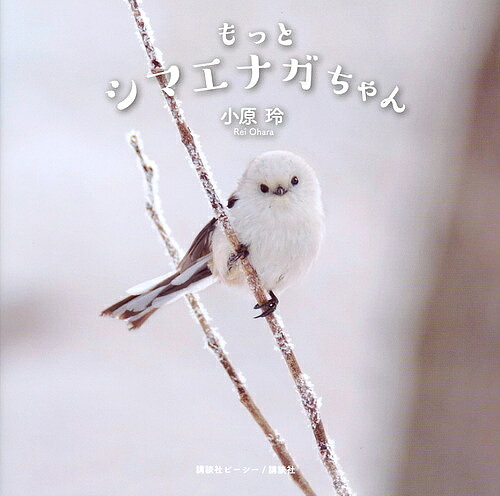 ※商品画像はイメージや仮デザインが含まれている場合があります。帯の有無など実際と異なる場合があります。著者小原玲(著)出版社講談社発売日2017年10月ISBN9784062208659ページ数95Pキーワードもつとしまえながちやん モツト...