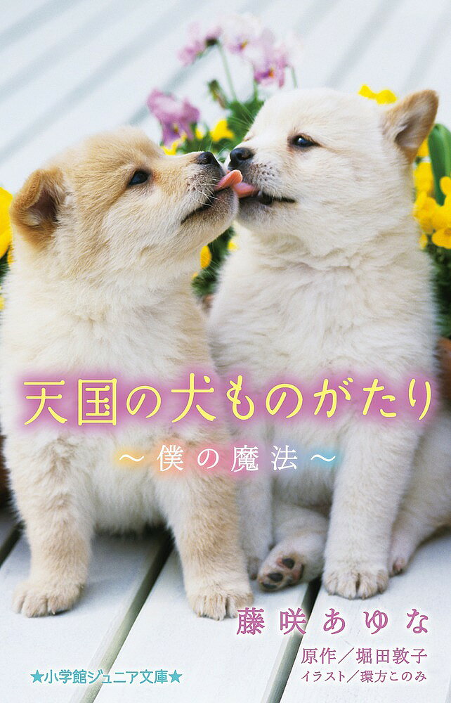 ※商品画像はイメージや仮デザインが含まれている場合があります。帯の有無など実際と異なる場合があります。著者堀田敦子(原作) 藤咲あゆな(著) 環方このみ(イラスト)出版社小学館発売日2017年12月ISBN9784092312005ページ数...