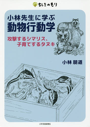 著者小林朋道(著)出版社少年写真新聞社発売日2018年07月ISBN9784879816412ページ数142Pキーワードプレゼント ギフト 誕生日 子供 クリスマス 子ども こども こばやしせんせいにまなぶどうぶつこうどうがくこうげ コバヤ...