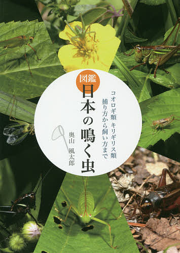 ※商品画像はイメージや仮デザインが含まれている場合があります。帯の有無など実際と異なる場合があります。著者奥山風太郎(著)出版社エムピージェー発売日2018年08月ISBN9784904837672ページ数160Pキーワードずかんにほんのな...