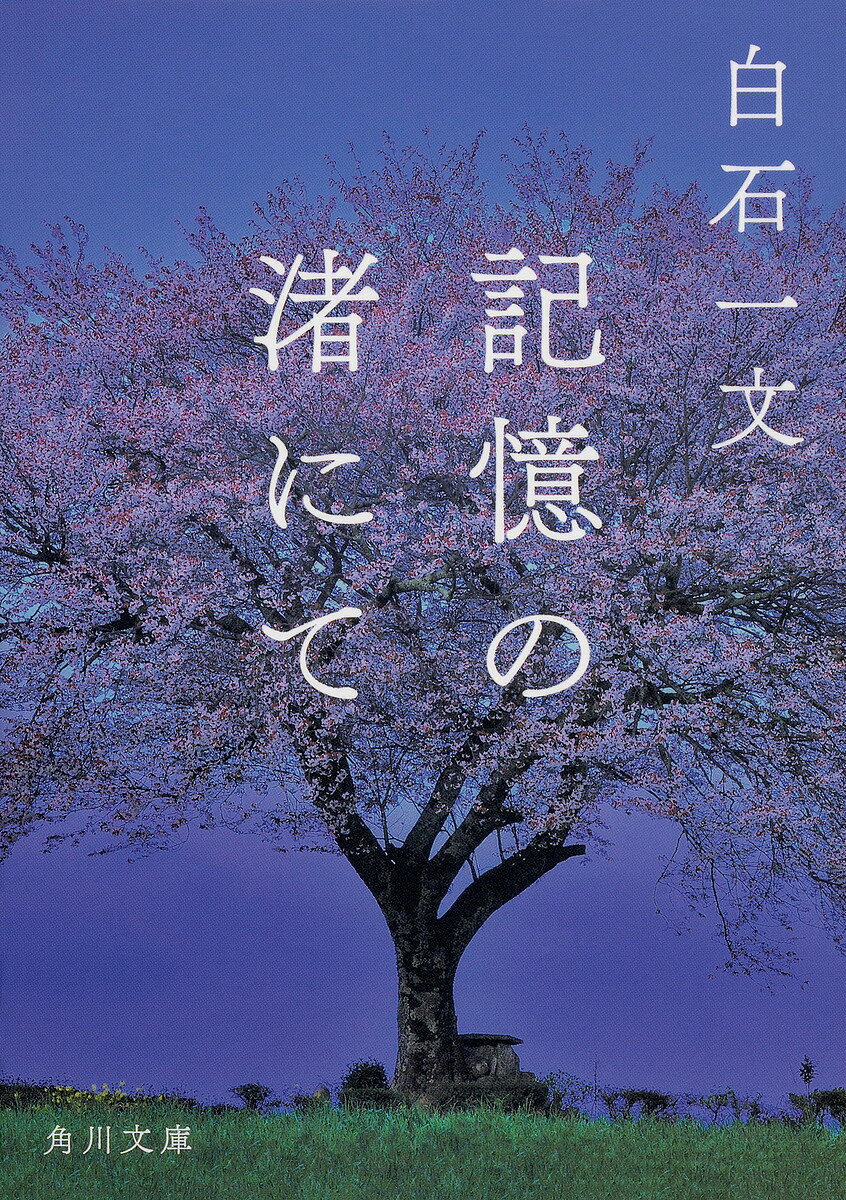 ※商品画像はイメージや仮デザインが含まれている場合があります。帯の有無など実際と異なる場合があります。著者白石一文(著)出版社KADOKAWA発売日2019年01月ISBN9784041073070ページ数584Pキーワードきおくのなぎさに...