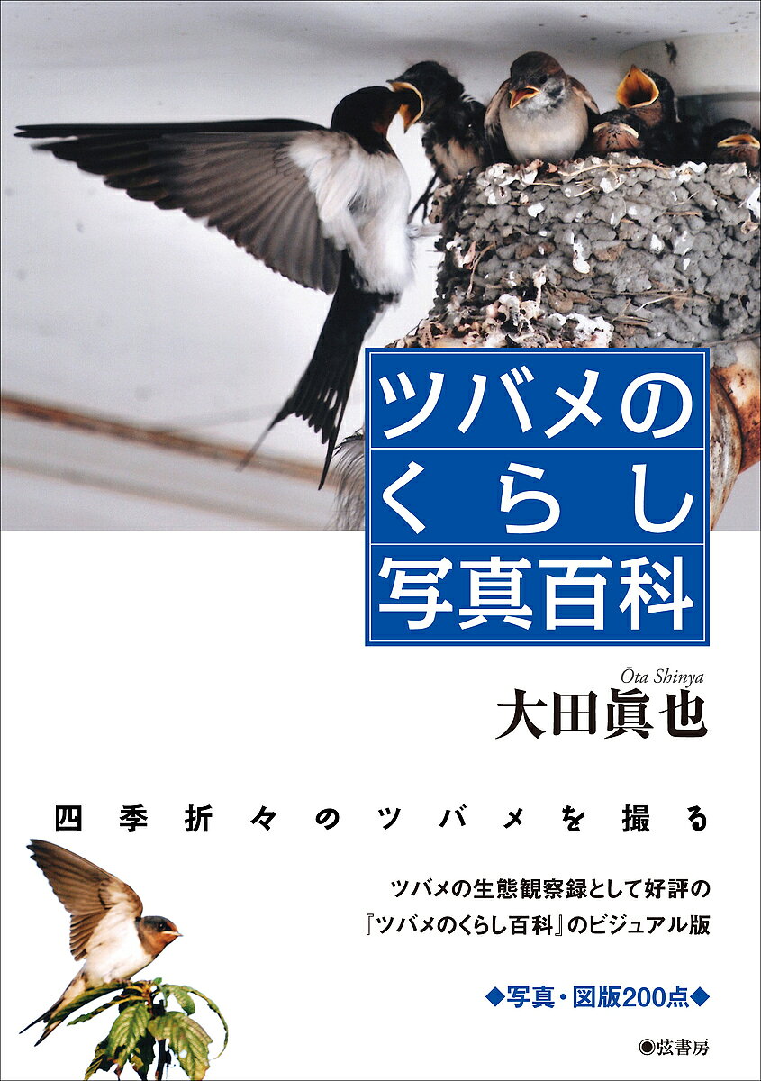 著者大田眞也(著)出版社弦書房発売日2019年01月ISBN9784863291843ページ数150Pキーワードつばめのくらししやしんひやつか ツバメノクラシシヤシンヒヤツカ おおた しんや オオタ シンヤ9784863291843内容紹介...