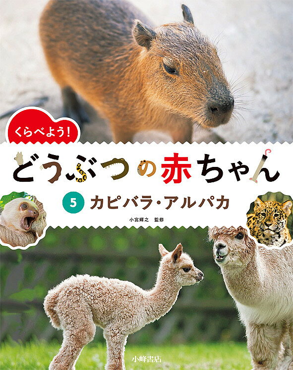 著者小宮輝之(監修)出版社小峰書店発売日2018年04月ISBN9784338316057ページ数31Pキーワードプレゼント ギフト 誕生日 子供 クリスマス 子ども こども くらべようどうぶつのあかちやん5 クラベヨウドウブツノアカチヤン...