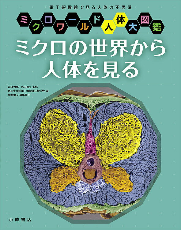 著者宮澤七郎(監修) 島田達生(監修) 医学生物学電子顕微鏡技術学会(編)出版社小峰書店発売日2019年04月ISBN9784338323079ページ数43Pキーワードプレゼント ギフト 誕生日 子供 クリスマス 子ども こども みくろのせ...
