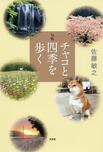 著者佐藤敏之(著)出版社文芸社発売日2019年07月ISBN9784286206790ページ数154Pキーワードちやことしきおあるくくしゆう チヤコトシキオアルククシユウ さとう としゆき サトウ トシユキ9784286206790