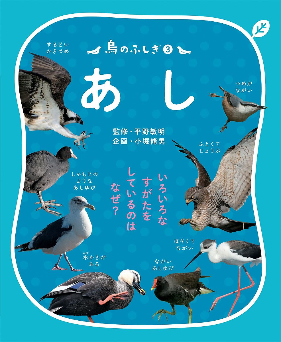 著者平野敏明(監修)出版社理論社発売日2019年09月ISBN9784652202999ページ数32Pキーワードプレゼント ギフト 誕生日 子供 クリスマス 子ども こども とりのふしぎ3 トリノフシギ3 ひらの としあき ヒラノ トシアキ...