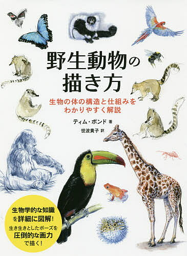 ※商品画像はイメージや仮デザインが含まれている場合があります。帯の有無など実際と異なる場合があります。著者ティム・ポンド(著) 世波貴子(訳)出版社ホビージャパン発売日2019年11月ISBN9784798620657ページ数191Pキーワ...