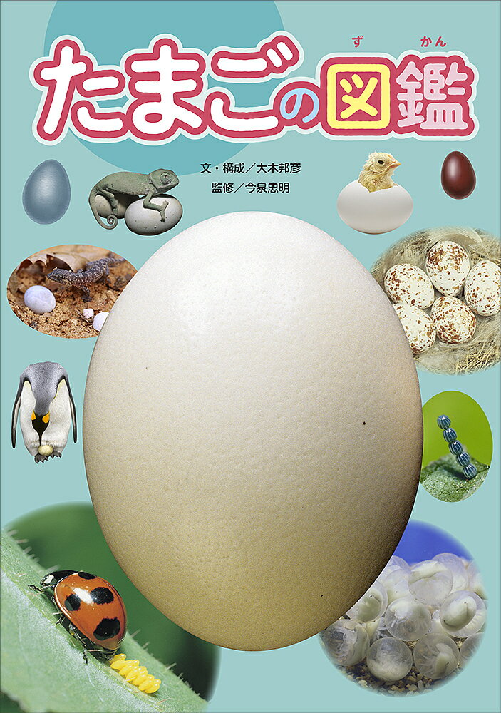 著者大木邦彦(文) ・構成今泉忠明(監修)出版社あかね書房発売日2020年01月ISBN9784251067418ページ数95Pキーワードプレゼント ギフト 誕生日 子供 クリスマス 子ども こども たまごのずかん タマゴノズカン おおき ...